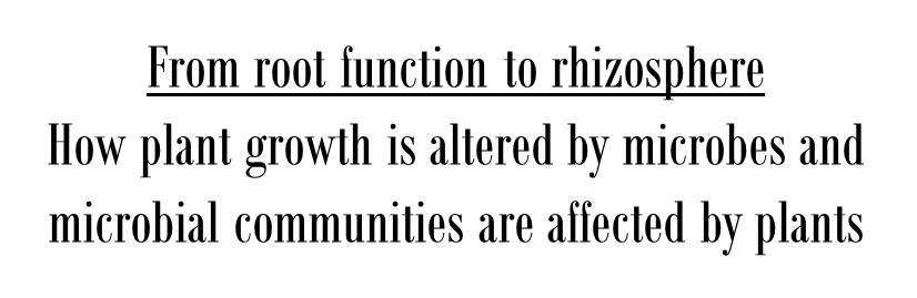 Rhizosphere | Investigating the influence of roots